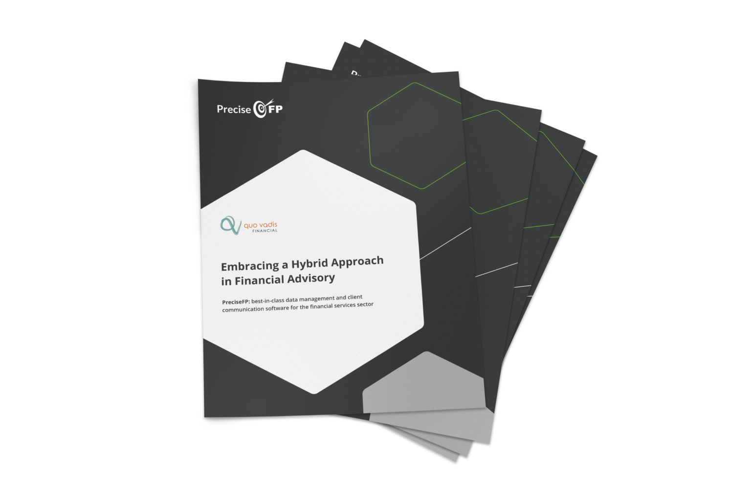 Case Study: How Quo Vadis Embraces a Hybrid Approach in Financial ...